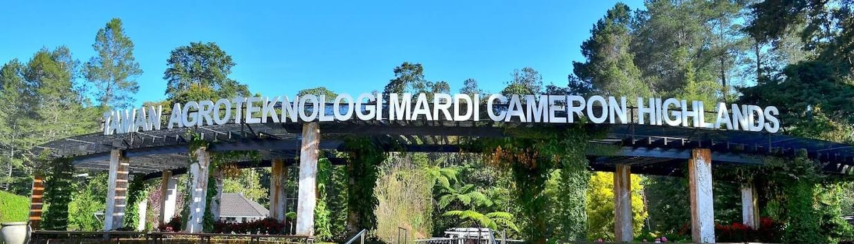 Agro Technology Park MARDI Cameron Highlands | Entrance Fee, Opening ...