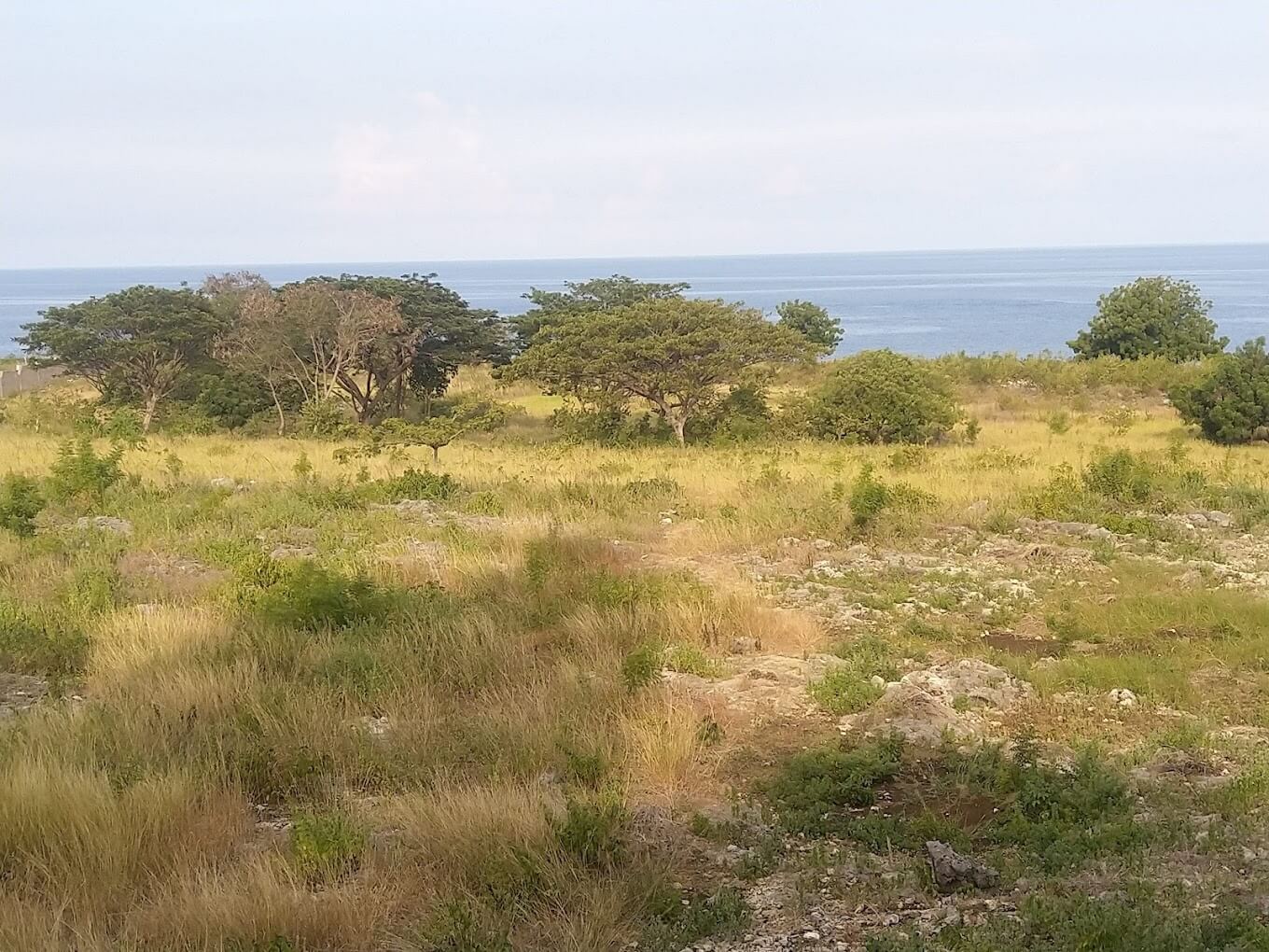 Bagacay Point Lighthouse | Entrance Fee, Opening Hours & More