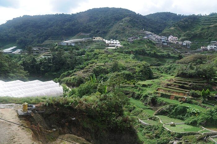 Cameron Valley Tea House 2 | Entrance Fee, Opening Hours & More