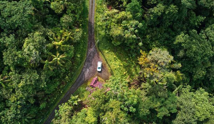 Braulio Carrillo National Park | Entrance Fee, Opening Hours & More