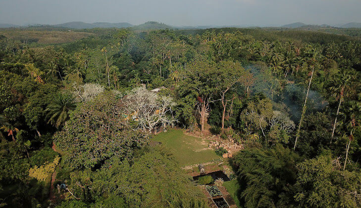 Brief Garden by Bevis Bawa | Entrance Fee, Opening Hours & More