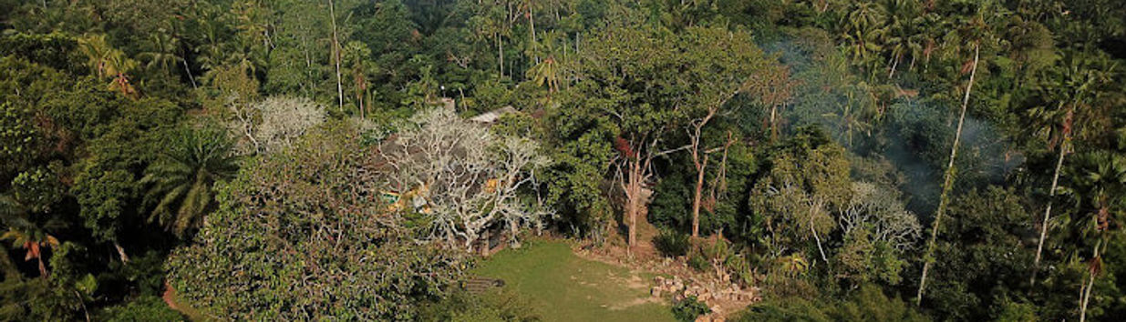 Brief Garden by Bevis Bawa | Entrance Fee, Opening Hours & More