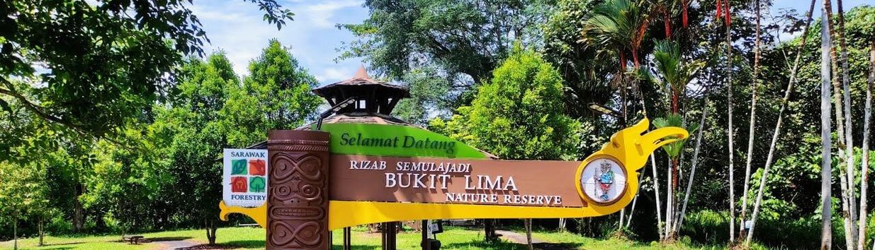 Bukit Sawak Forest Reserve | Entrance Fee, Opening Hours & More