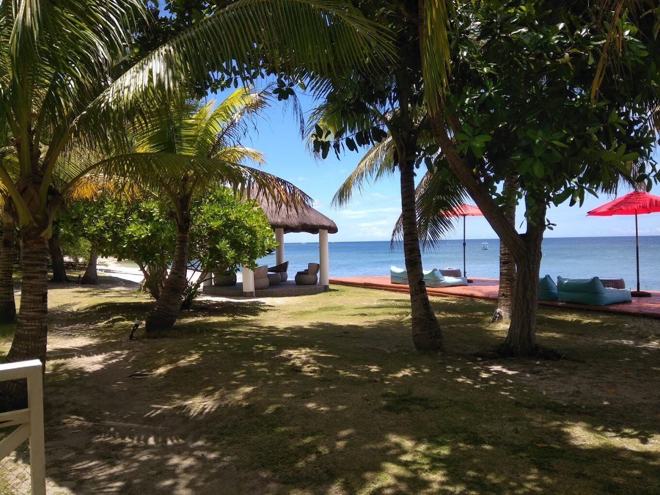 Philippine Tarsier Sanctuary | Entrance Fee, Opening Hours & More