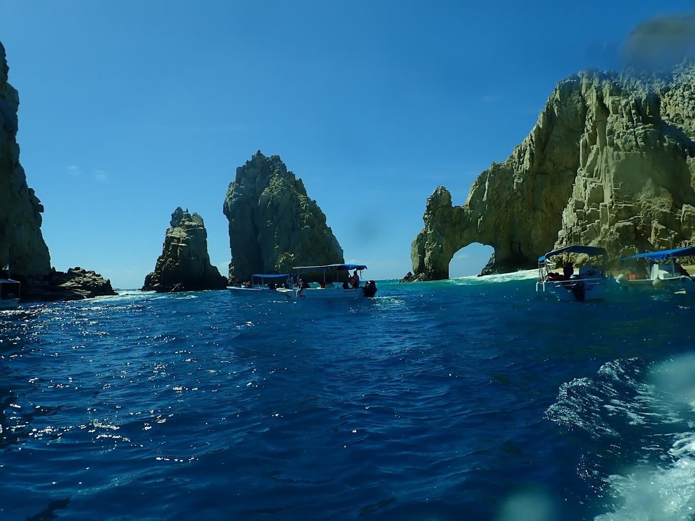 Cabo Wabo Cantina | Entrance Fee, Opening Hours & More