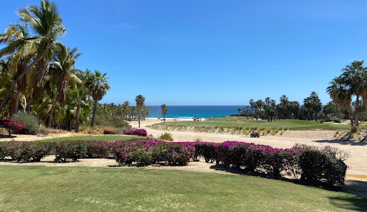 Cabo Real Golf Club | Entrance Fee, Opening Hours & More