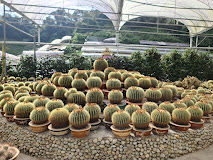 Cactus Valley | Entrance Fee, Opening Hours & More