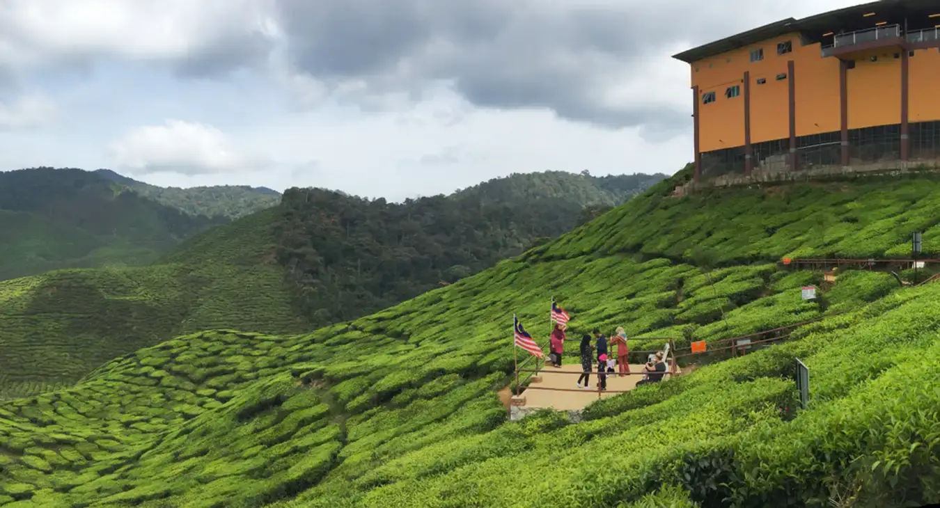 Cameron Valley Tea House 2 | Entrance Fee, Opening Hours & More