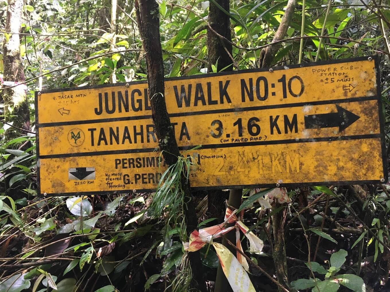 Cameron Valley Tea House 2 | Entrance Fee, Opening Hours & More