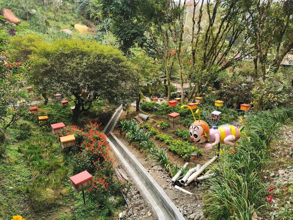 Cameron Tringkap Bee Farm | Entrance Fee, Opening Hours & More