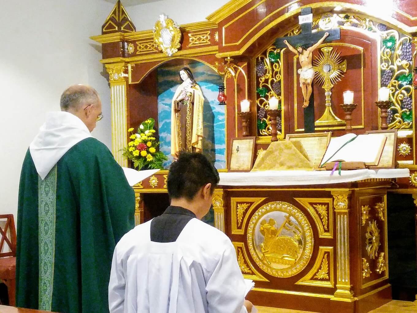 Cebu Zoo | Entrance Fee, Opening Hours & More