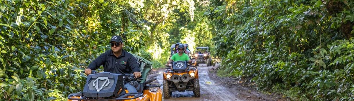Carabali Rainforest Adventure Park | Entrance Fee, Opening Hours & More