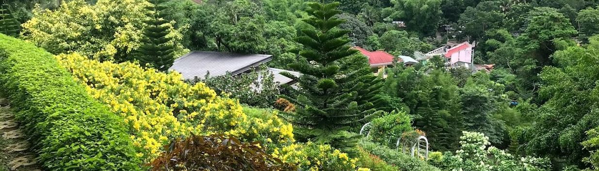 Cebu Business Park | Entrance Fee, Opening Hours & More