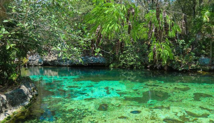 Cenote Yax-kin | Entrance Fee, Opening Hours & More
