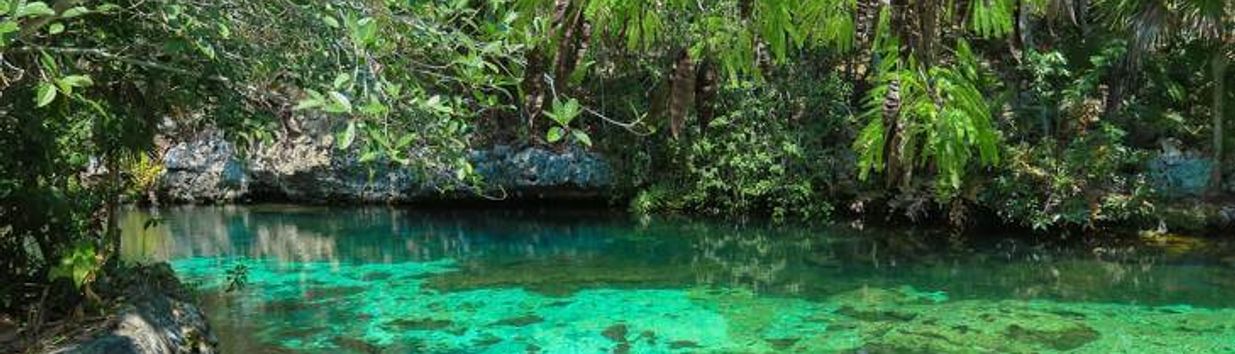 Cenote Yax-kin | Entrance Fee, Opening Hours & More