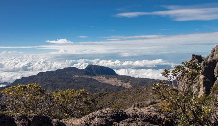 Chirripó National Park? | Entrance Fee, Opening Hours & More