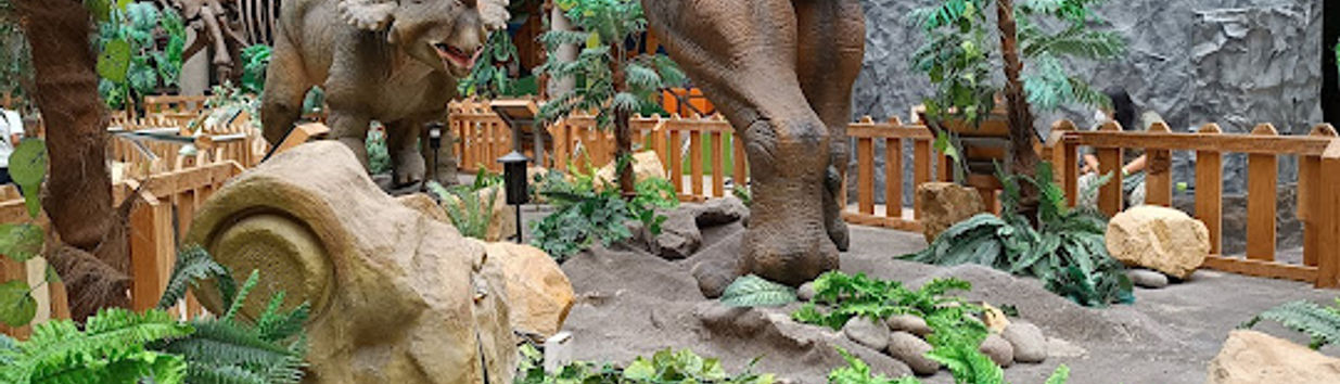 Costa Rican Center of Science and Culture | Entrance Fee, Opening Hours ...