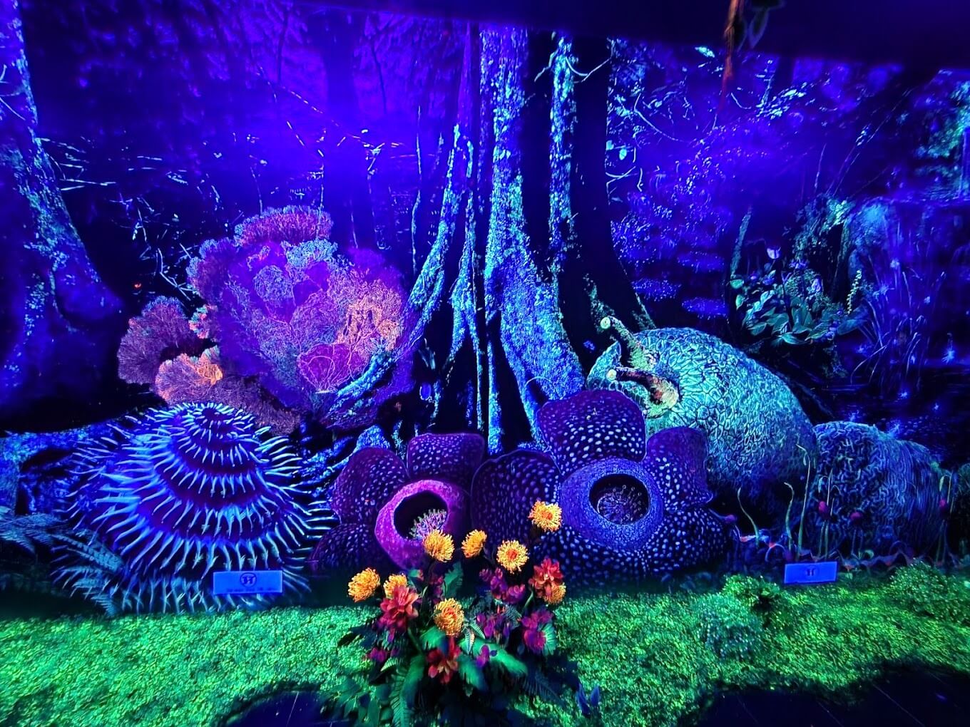 Dark Mansion - 3D Glow In The Dark Museum | Entrance Fee, Opening Hours ...