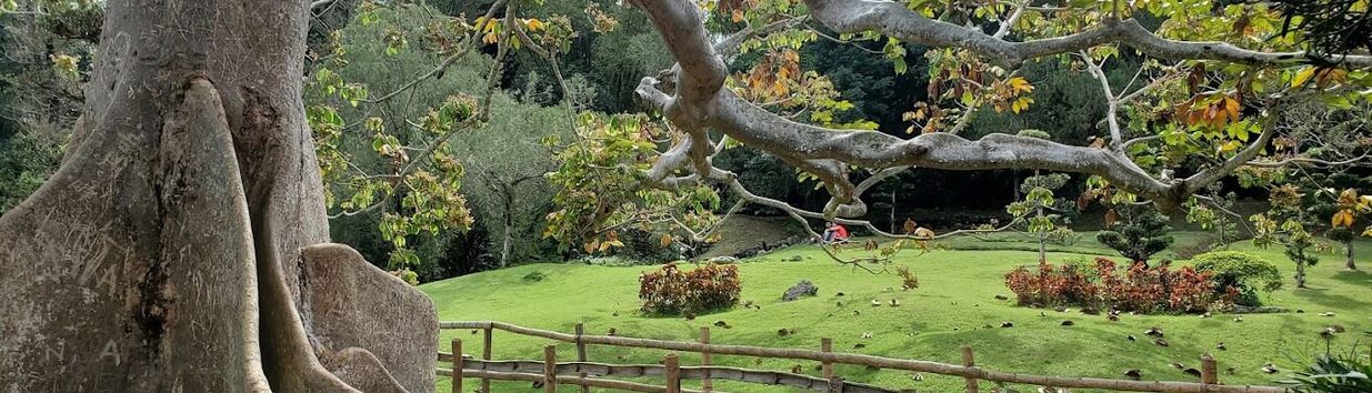Dr. Rafael M. Moscoso National Botanical Garden | Entrance Fee, Opening ...