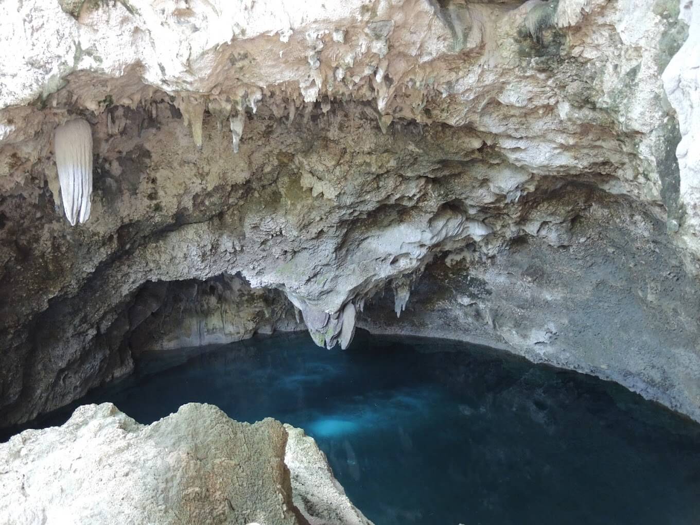 El Choco National Park | Entrance Fee, Opening Hours & More