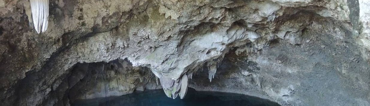 El Choco National Park | Entrance Fee, Opening Hours & More