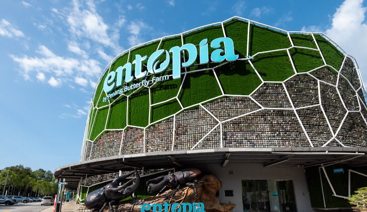 Entopia by Penang Butterfly Farm | Entrance Fee, Opening Hours & More
