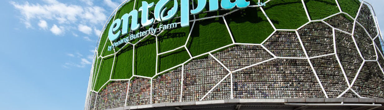 Entopia by Penang Butterfly Farm | Entrance Fee, Opening Hours & More