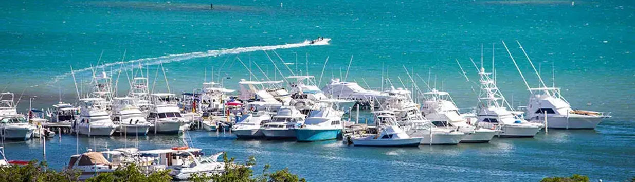 Fishing in Fajardo | Entrance Fee, Opening Hours & More