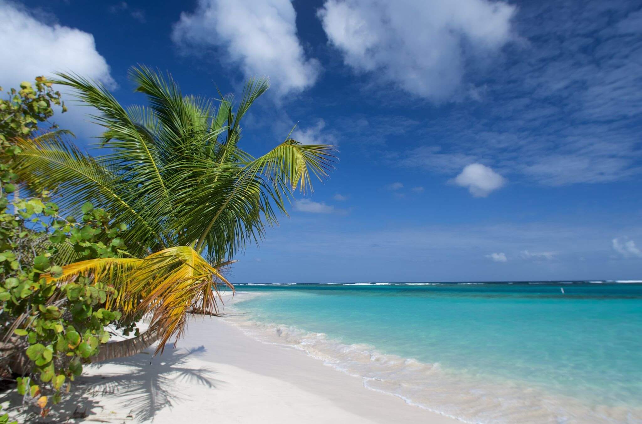 Flamenco Beach | Entrance Fee, Opening Hours & More