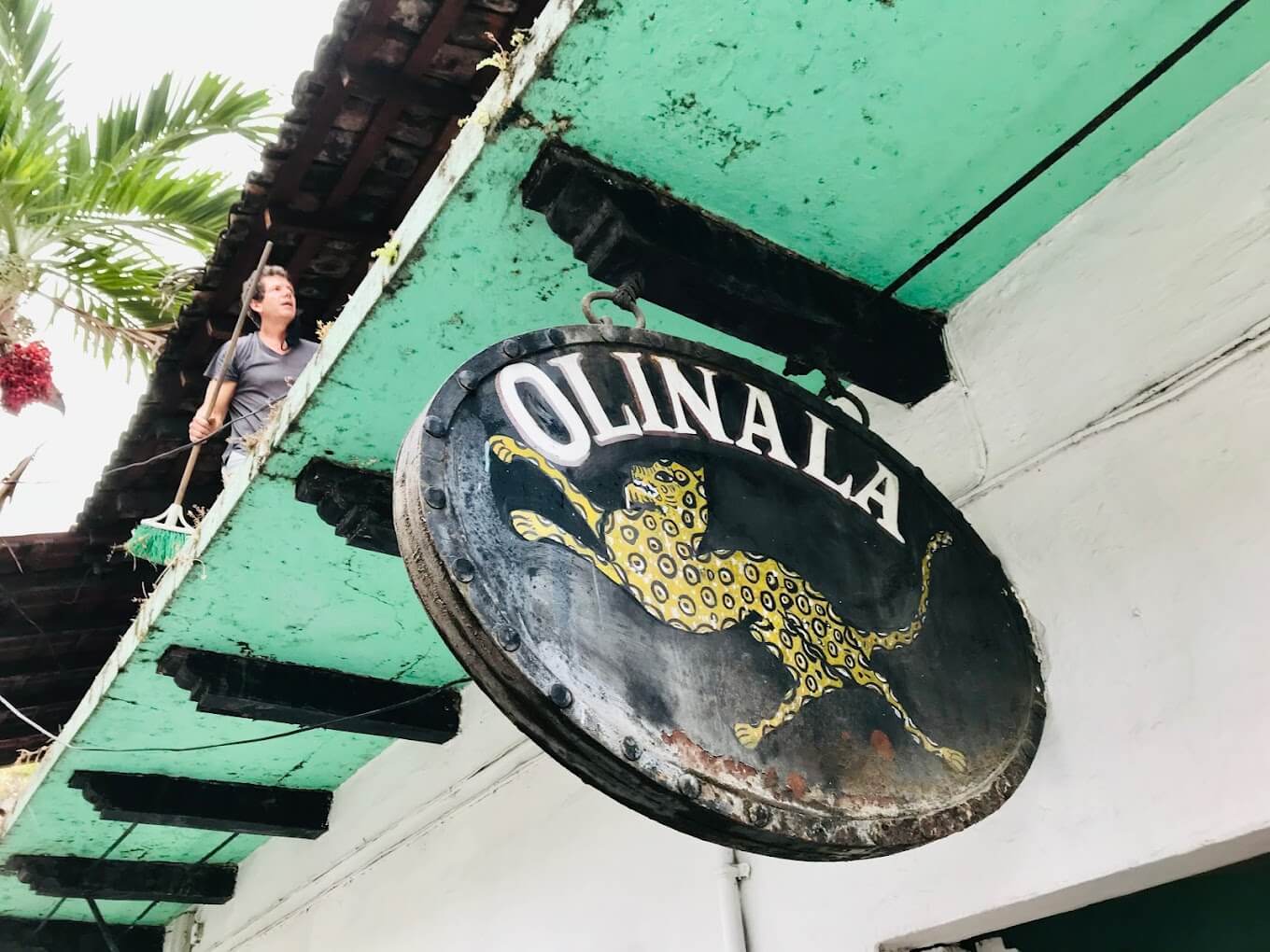 Galeria Olinala | Entrance Fee, Opening Hours & More