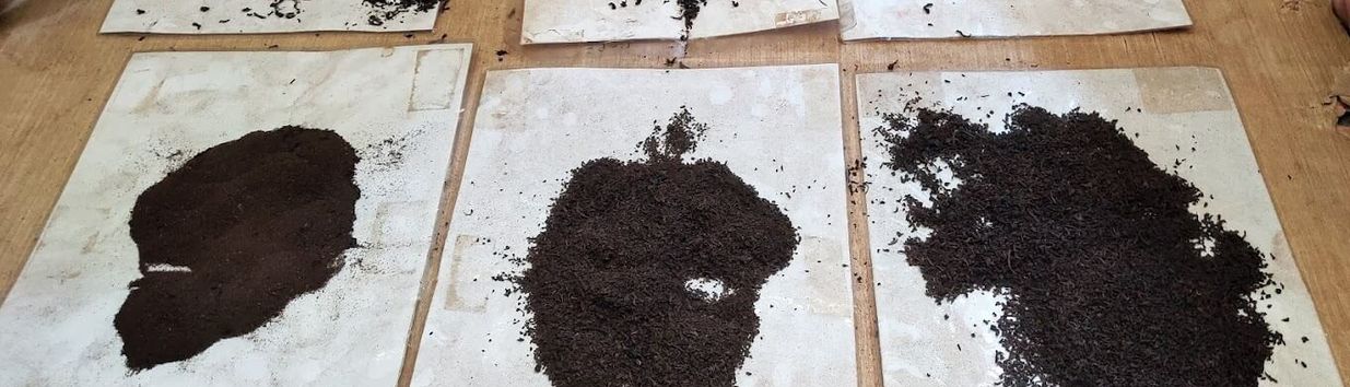 Garagama Tea Factory | Entrance Fee, Opening Hours & More