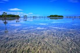 Gilutongan Island | Entrance Fee, Opening Hours & More