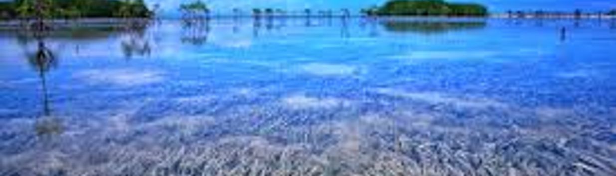 Gilutongan Island | Entrance Fee, Opening Hours & More