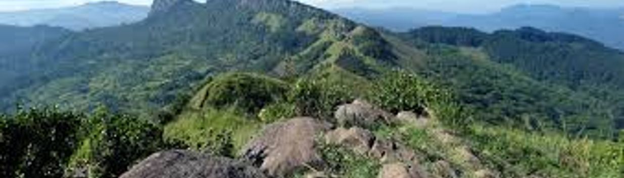 Hanthana Mountain Range | Entrance Fee, Opening Hours & More