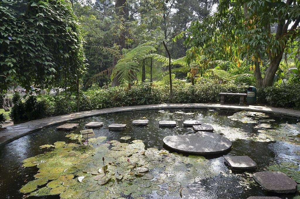 Jardin Botánico | Entrance Fee, Opening Hours & More