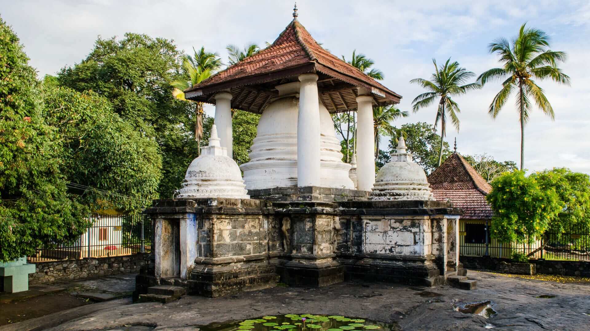 Kandy Monasteries Entrance Fee Opening Hours More
