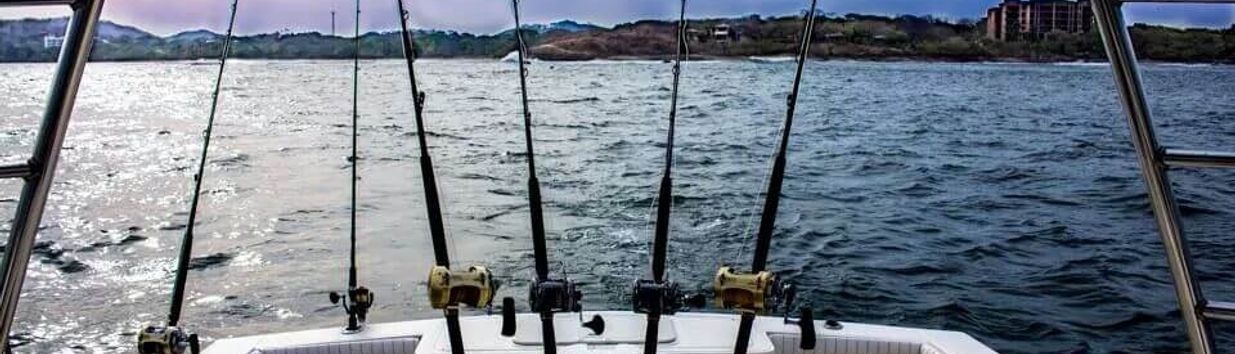 Kingpin Sportfishing | Entrance Fee, Opening Hours & More