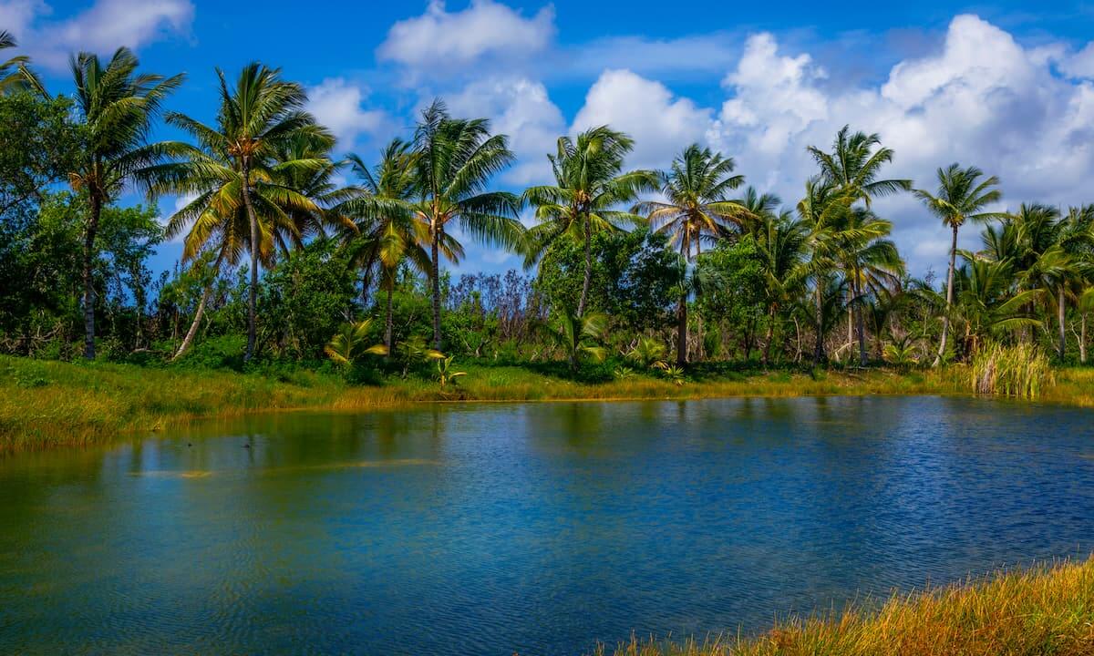 Laguna Bavaro | Entrance Fee, Opening Hours & More