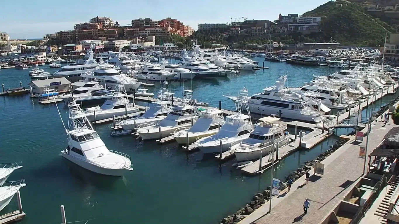 Marina Cabo San Lucas | Entrance Fee, Opening Hours & More