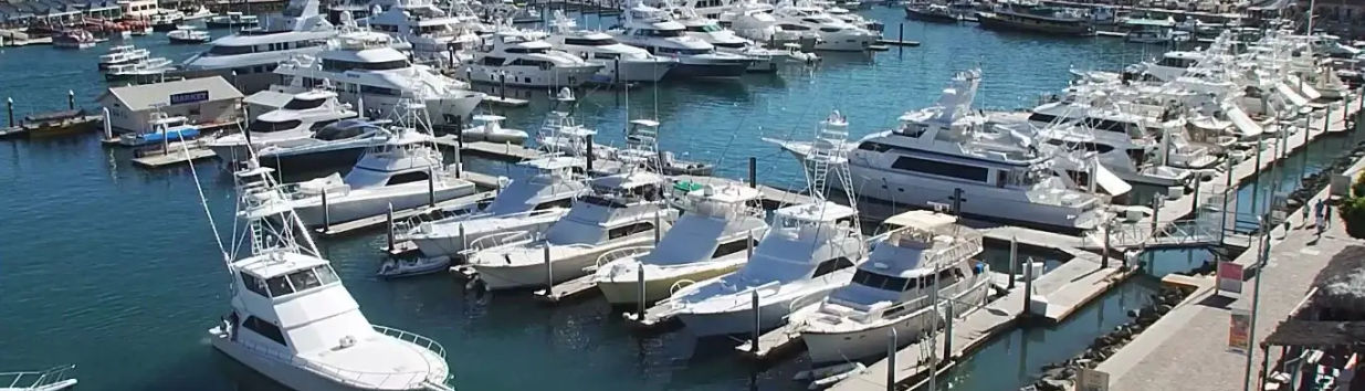 Marina Cabo San Lucas | Entrance Fee, Opening Hours & More