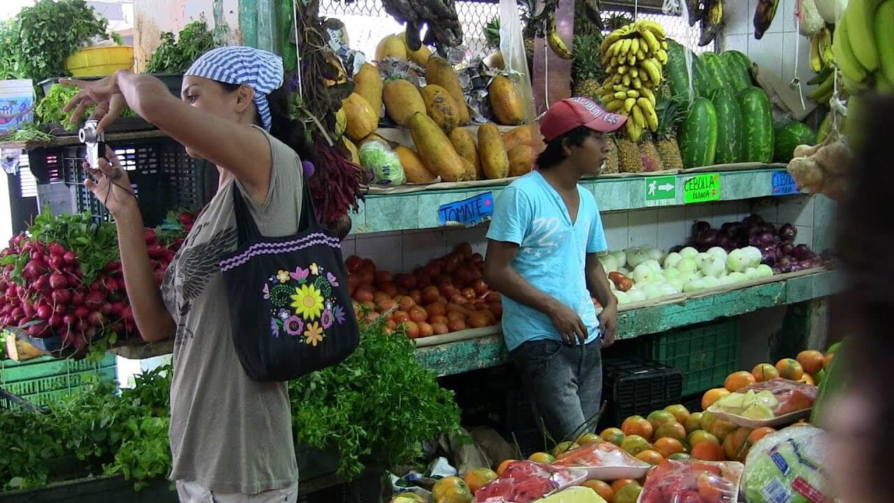 Market 23 | Entrance Fee, Opening Hours & More