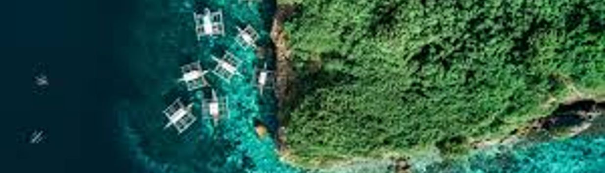 Moalboal | Entrance Fee, Opening Hours & More