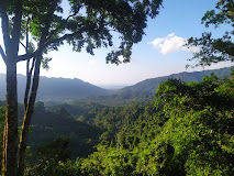 Monkey Forest Pusuk Pass | Entrance Fee, Opening Hours & More