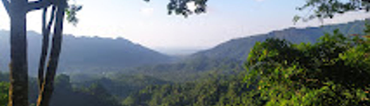 Monkey Forest Pusuk Pass | Entrance Fee, Opening Hours & More