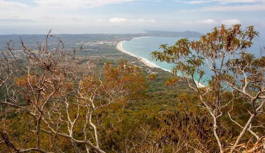 Monkey Mountain | Entrance Fee, Opening Hours & More
