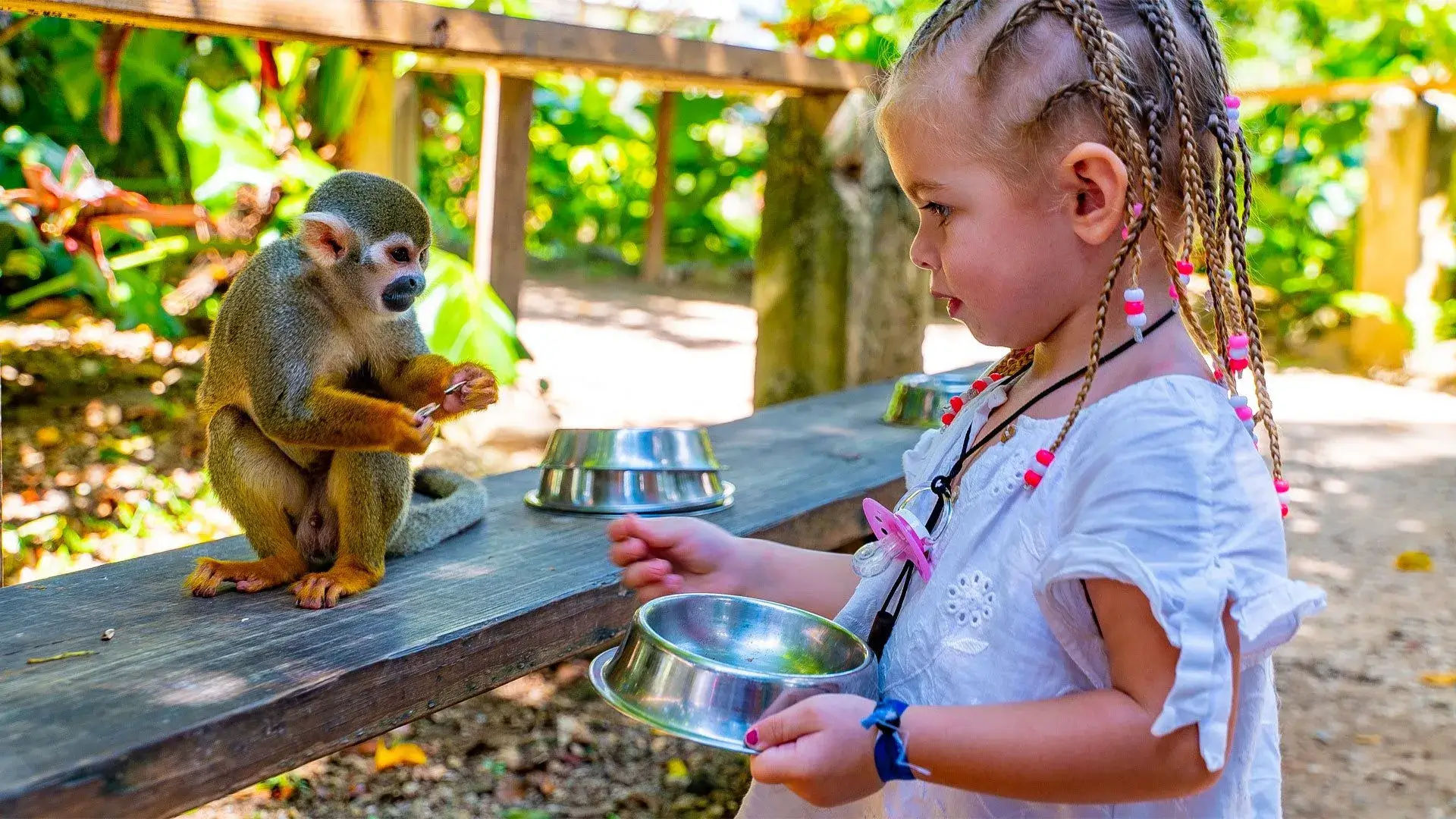 Monkeyland | Entrance Fee, Opening Hours & More