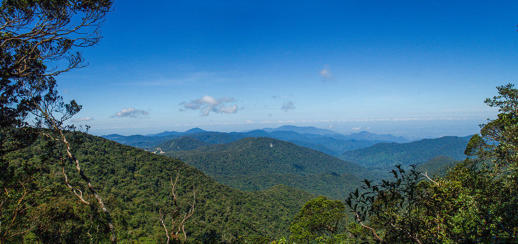 Mount Batu Brinchang | Entrance Fee, Opening Hours & More