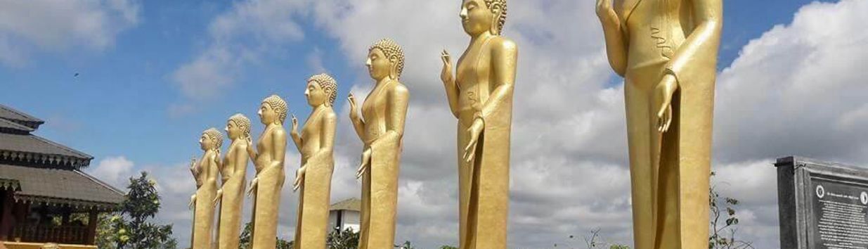 Nelligala International Buddhist Centre | Entrance Fee, Opening Hours ...