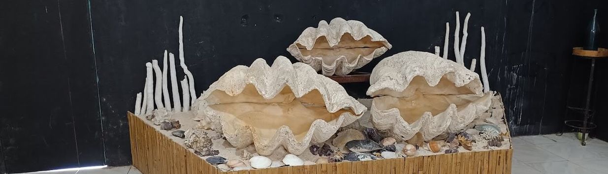 Nova Shell Museum | Entrance Fee, Opening Hours & More