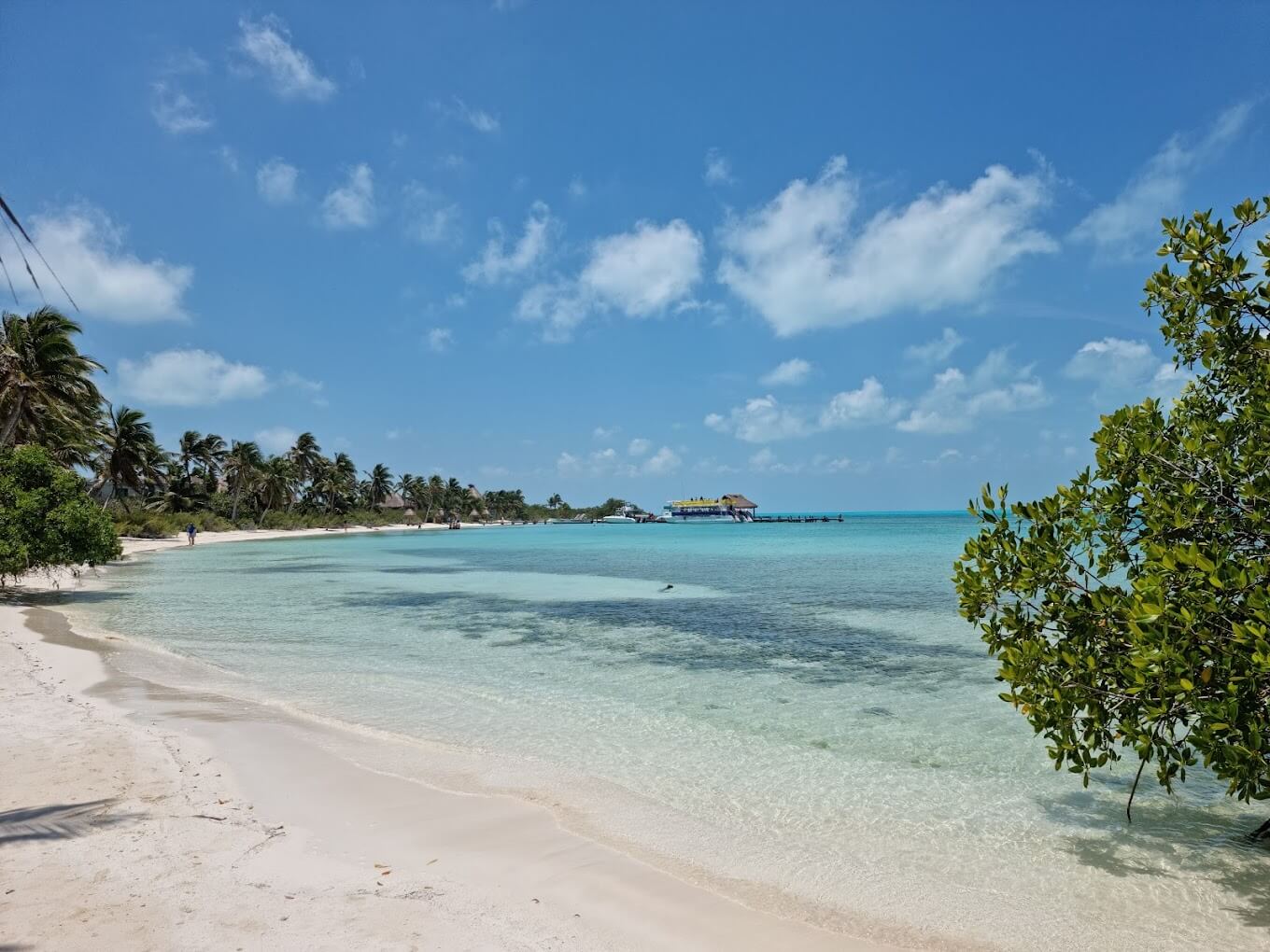 Parque Nacional Isla Contoy | Entrance Fee, Opening Hours & More